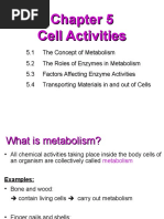 Lab Report - Investigation of The Effects of Temperature On Enzyme ...