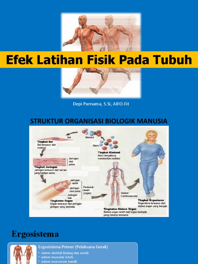 Efek Latihan Fisik Pada Tubuh | PDF