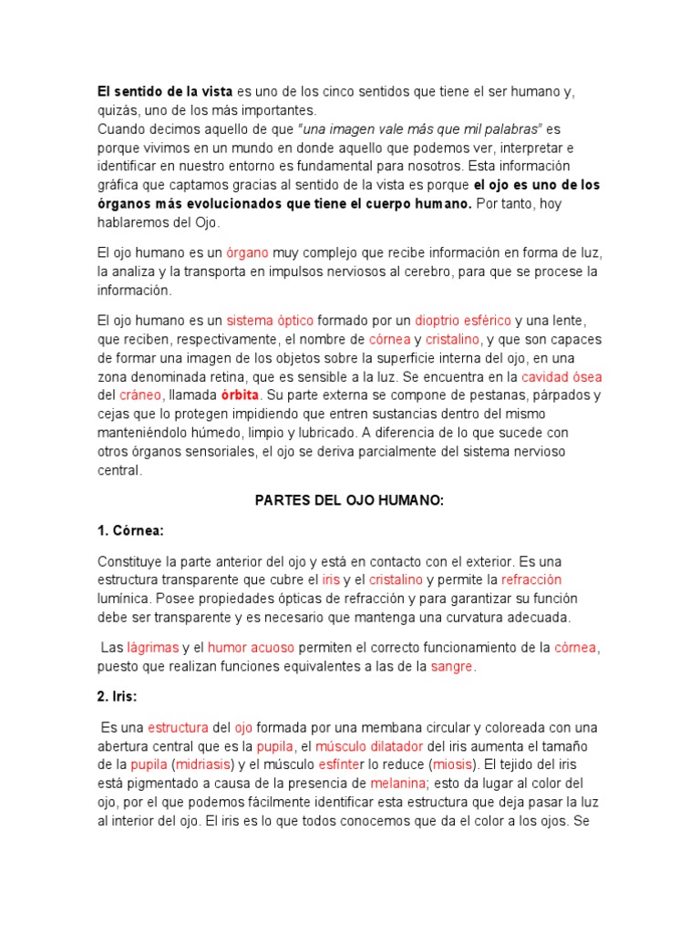 El Sentido de La Vista OJO | PDF