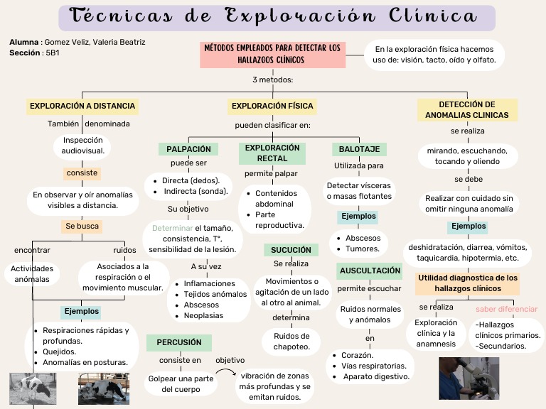 Técnicas de Exploración Clínica PDF | PDF