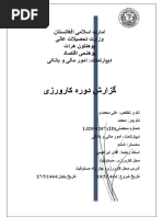 رهنمود تدوین و ترتیب مونوگراف | PDF