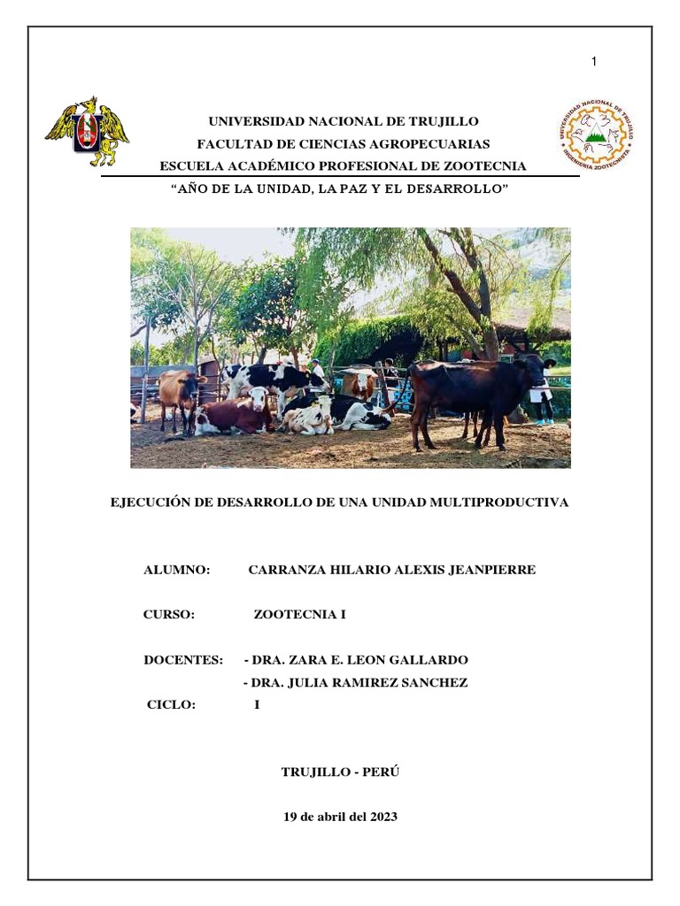 Informe de Practica de Campo PDF | PDF