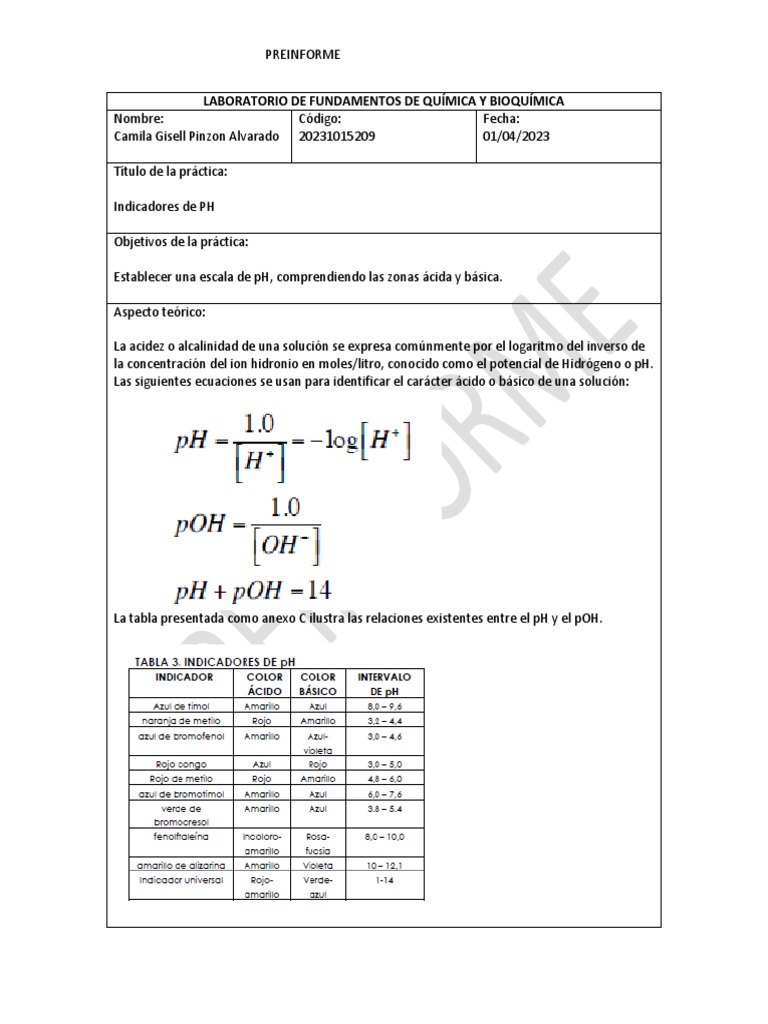 Pre Informe de PH | PDF