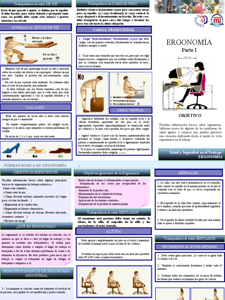 BOLETIN #28 - Triptico Ergonomia (Parte I) | PDF