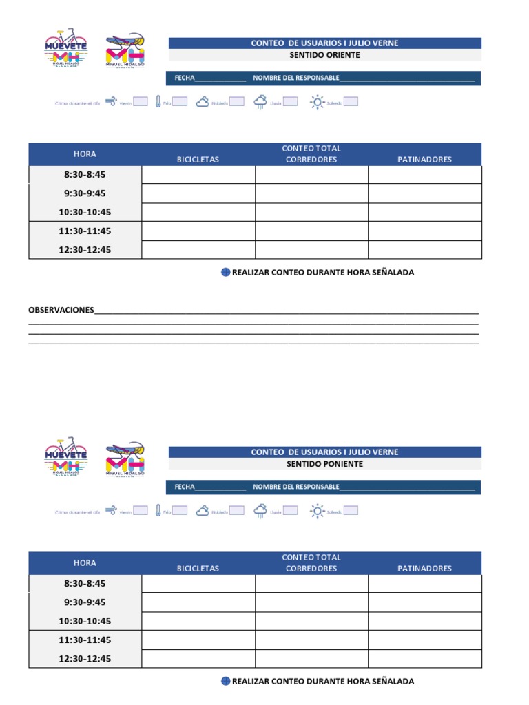 Formato Conteo PDF | PDF