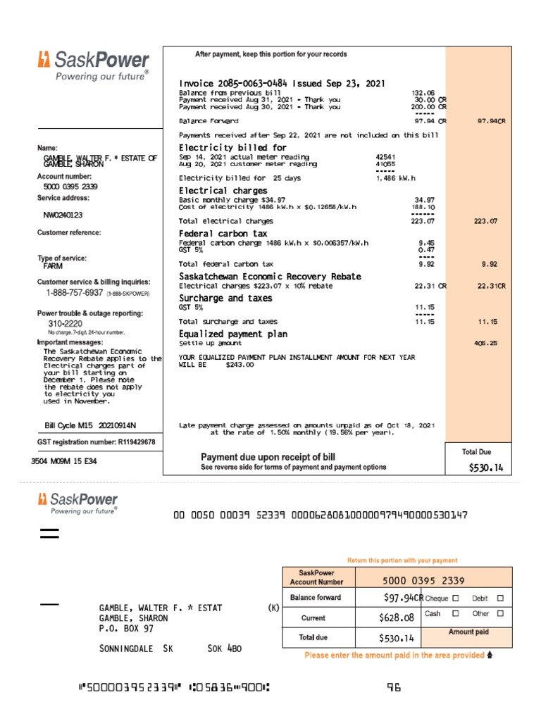 View Your SaskPower Bill 2 PDF | PDF