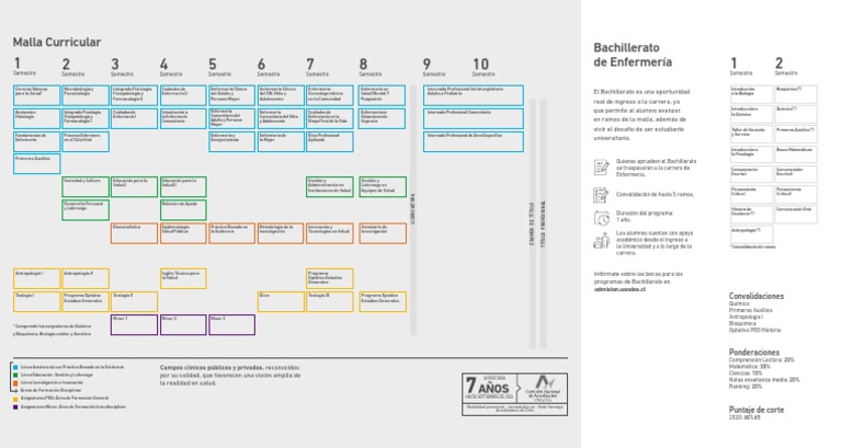 Malla Enfermeria PDF | PDF | Enfermería | Antropología