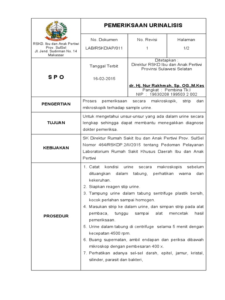 Lab011-Spo Pemeriksaan Urinalisis | PDF