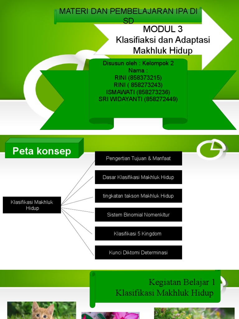 Kelompok 2 IPA MODUL 3 | PDF