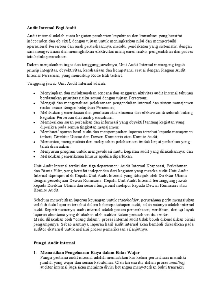 Audit Internal Bagi Audit | PDF