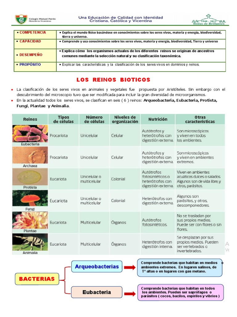Archaea y Bacteria Reinos | PDF