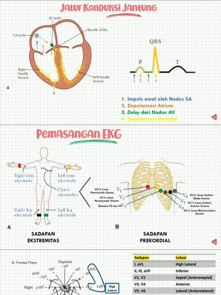 Ekg PDF | PDF