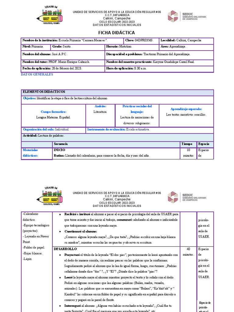 Formato de Ficha Didactica | PDF