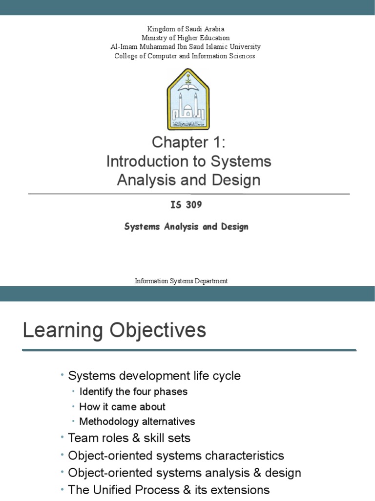 ch01 - Introduction To Systems Analysis and Design | PDF
