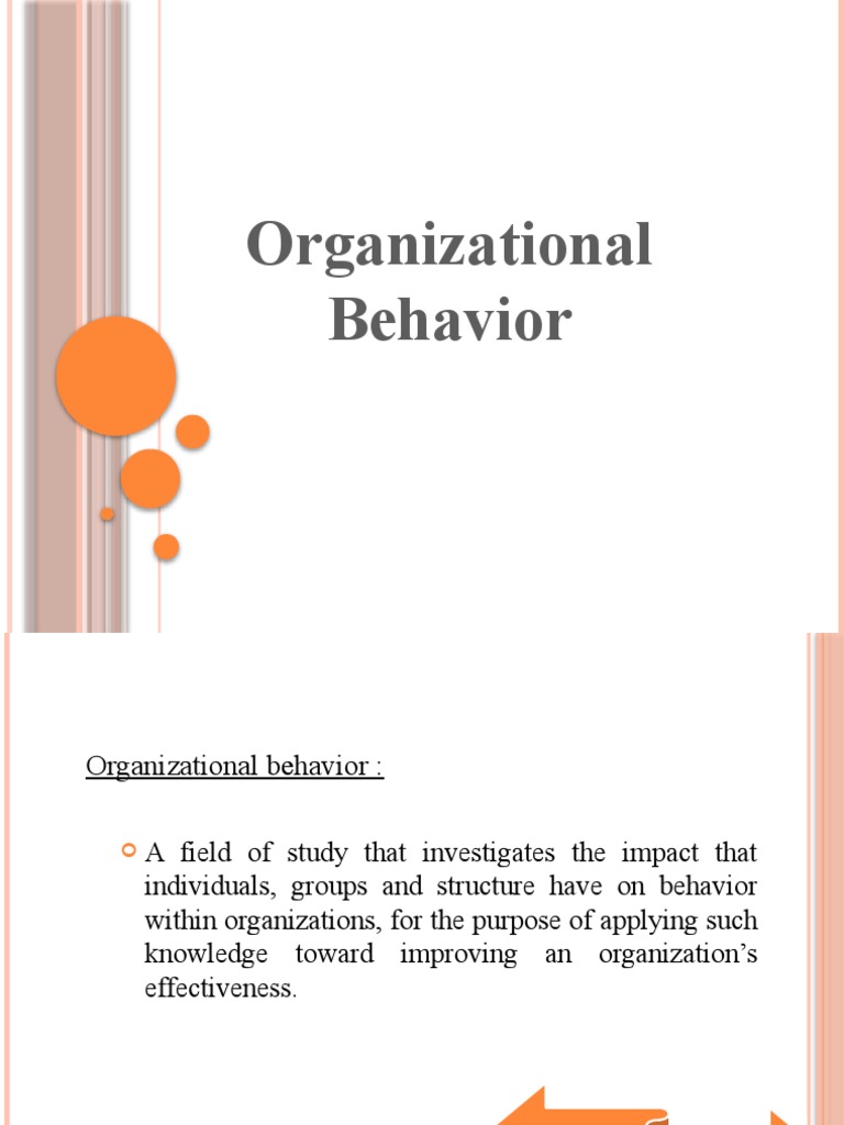 Organizational Behavior | PDF