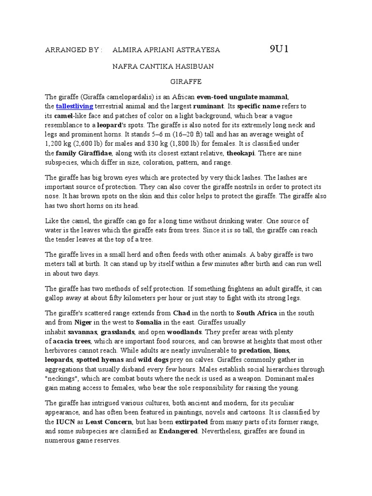 GIRAFFE | PDF