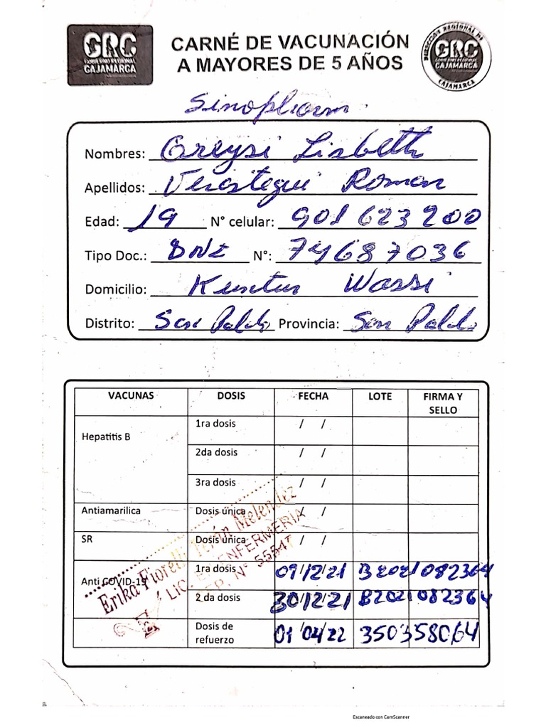 74687036-Verastegui Roman Greysi Lisbeth PDF | PDF