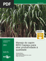 Capim Sudao | PDF | Agricultura | Agronomia