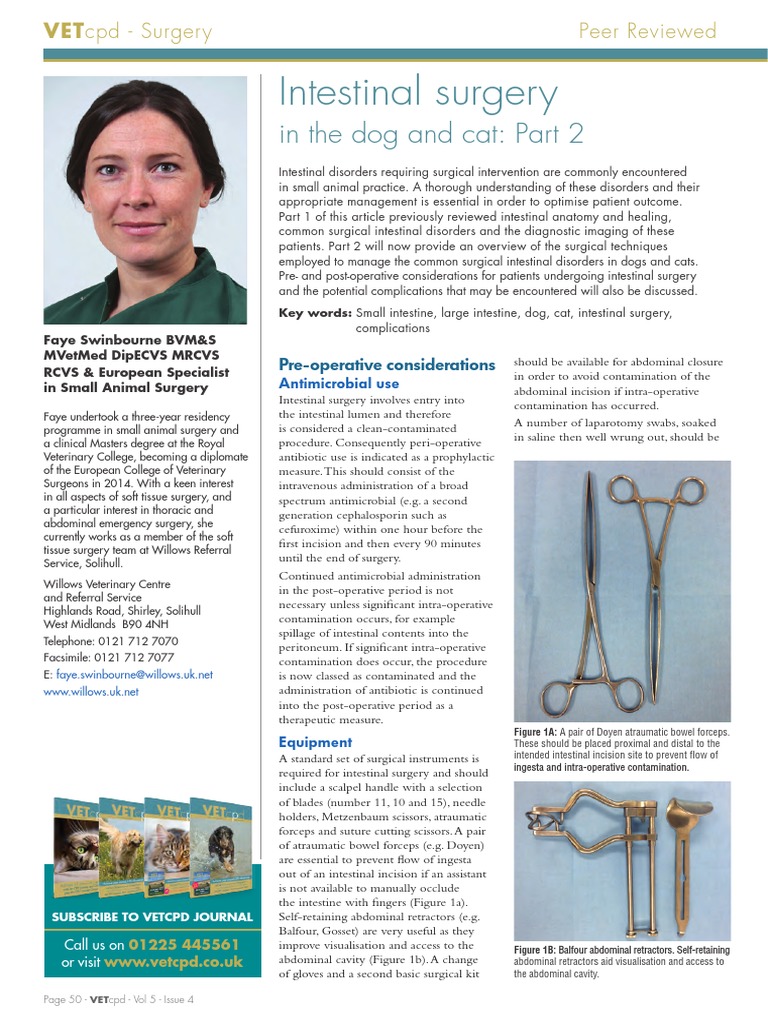 Intestinal Surgery in Dogs and Cats: Part 2 | PDF