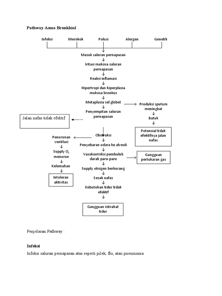 Pathway Asma Bronkhial | PDF