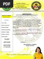 Calamity Certification | PDF