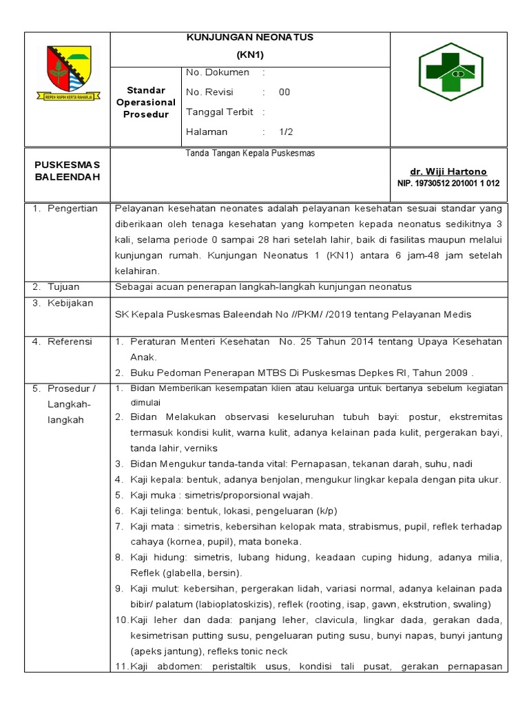 Kunjungan Neonatus | PDF