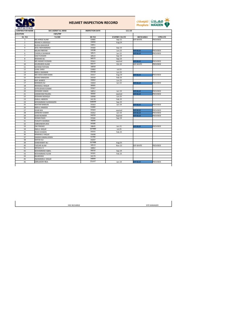 Helmet Inspection Record | PDF