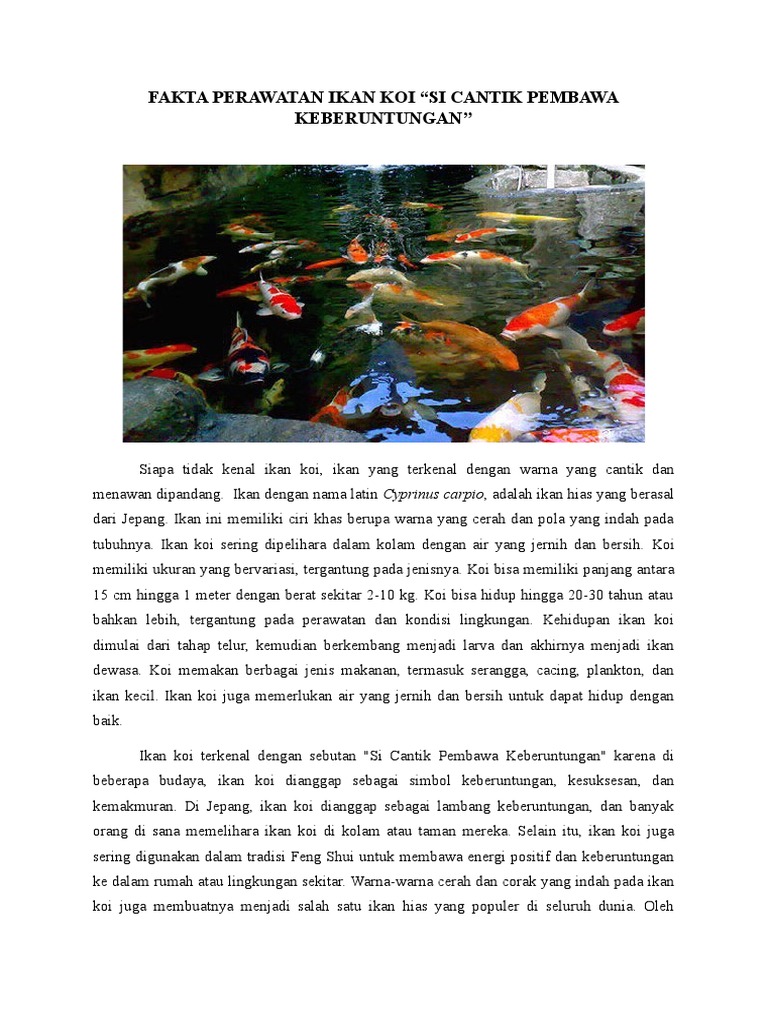 Fakta Perawatan Ikan Koi | PDF