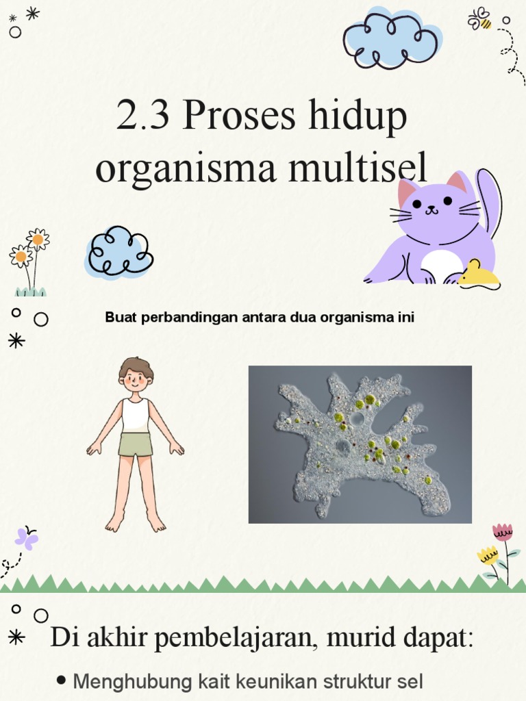 Proses Hidup Multisel | PDF