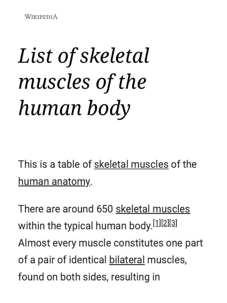 List of Human Skeletal Muscles | PDF