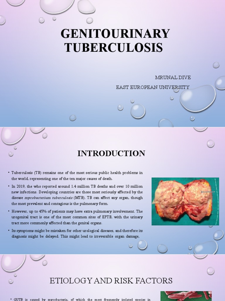 Genitourinary Tuberculosis Overview | PDF | Tuberculosis | Urinary Bladder