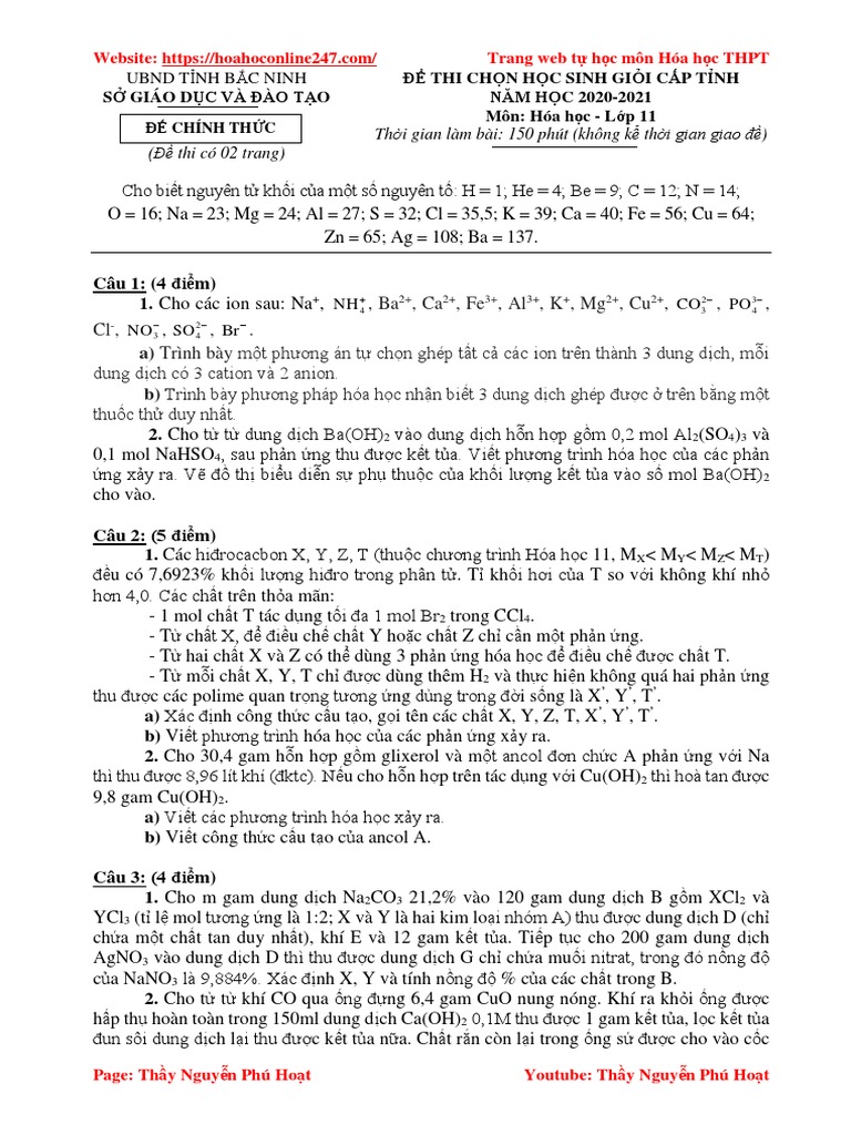 HSG 11 BẮC NINH 2020-2021 PDF | PDF