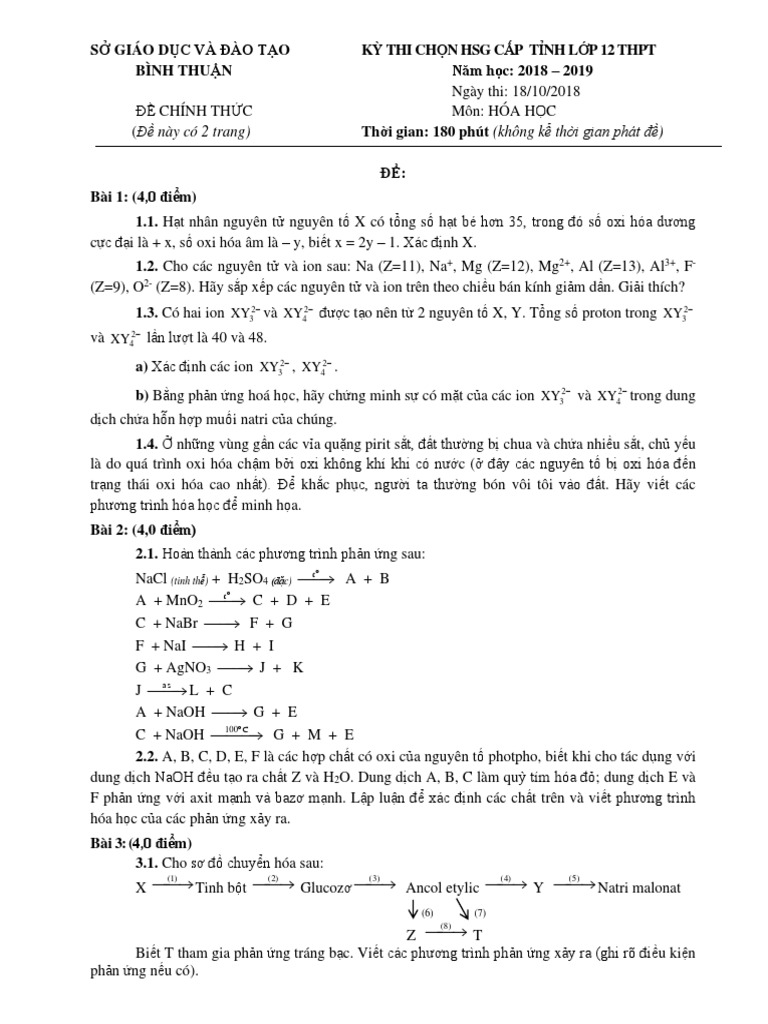 HSG 11 BÌNH THUẬN 2018-2019 PDF | PDF