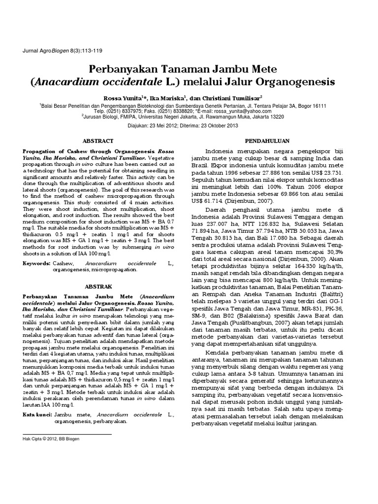 73915-ID-perbanyakan-tanaman-jambu-mete-anacardiu.pdf | PDF