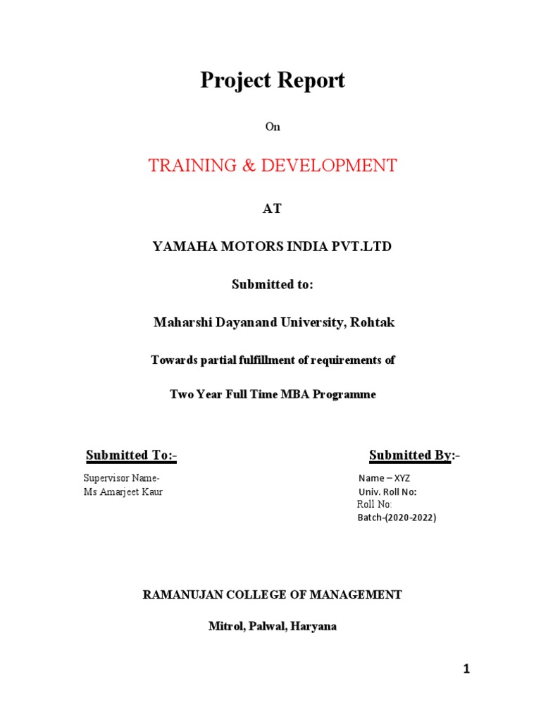 Demo Project Report | PDF