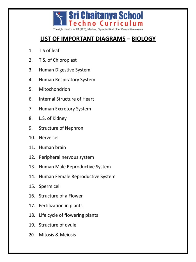 Biology - List of Important Diagrams & Experiments PDF | PDF