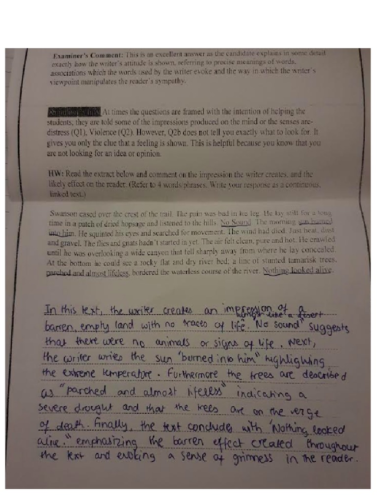 Writer's Effects detailed | PDF