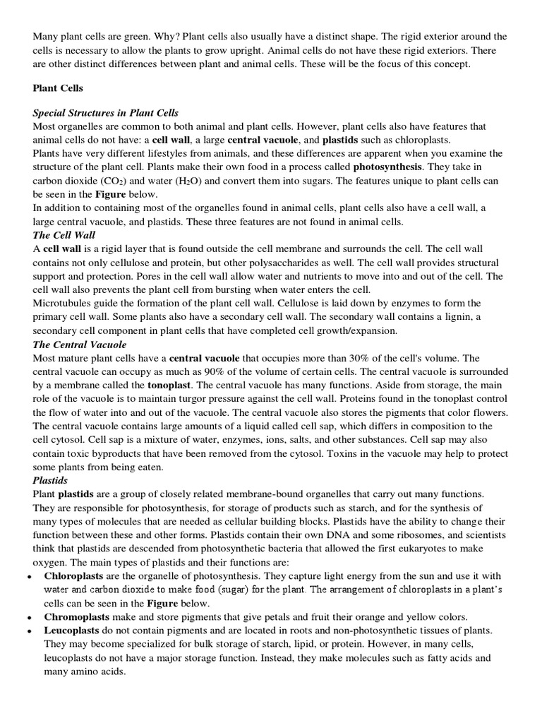 Plant Cell Organelles 1 Pdf