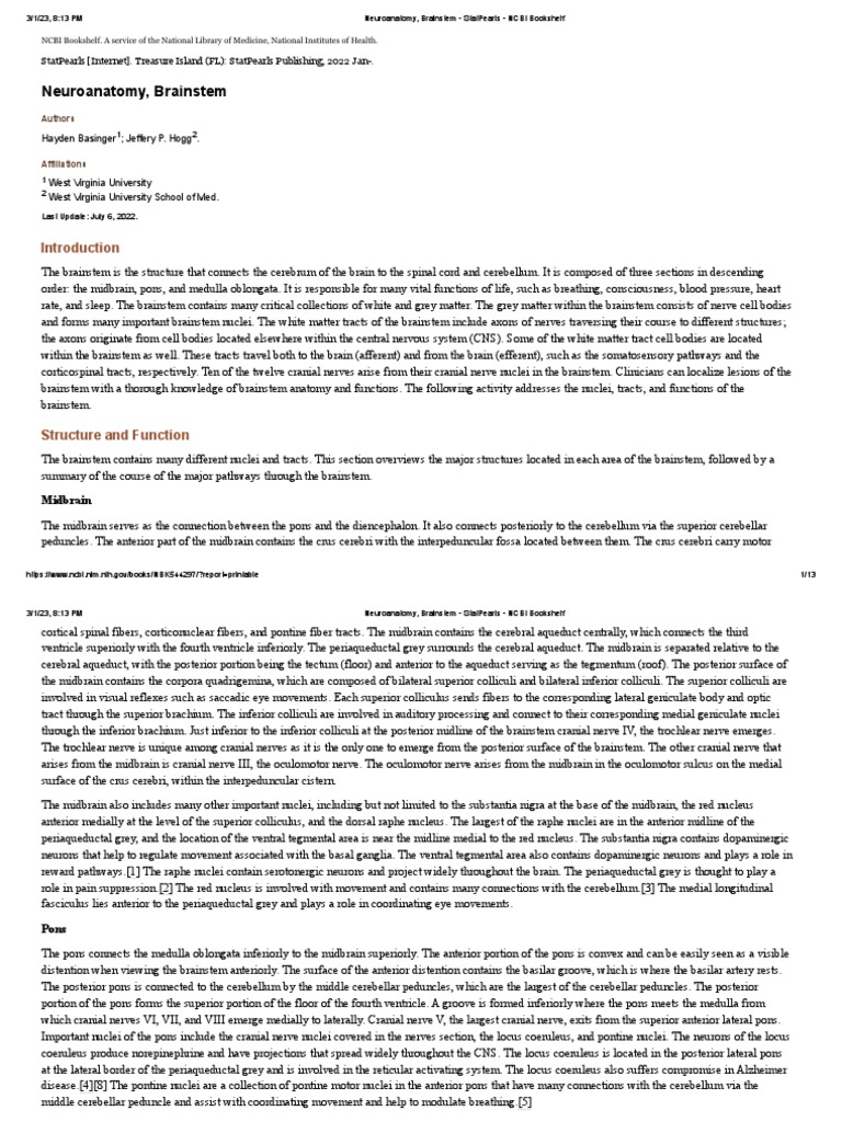 Neuroanatomy, Brainstem - StatPearls - NCBI Bookshelf | PDF