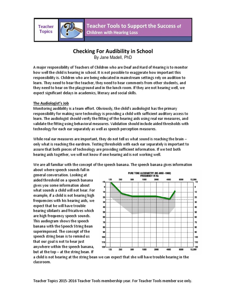 Checking For Audibility in School | PDF
