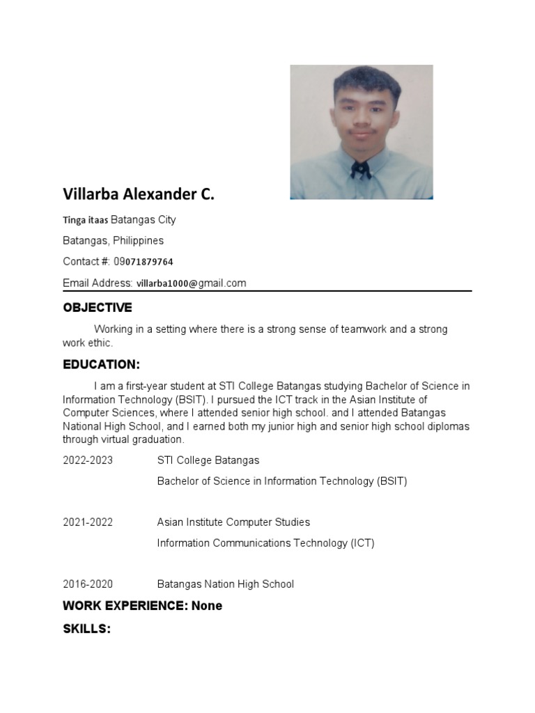 BSIT Student Profile - STI Batangas | PDF | Career & Growth | Computers