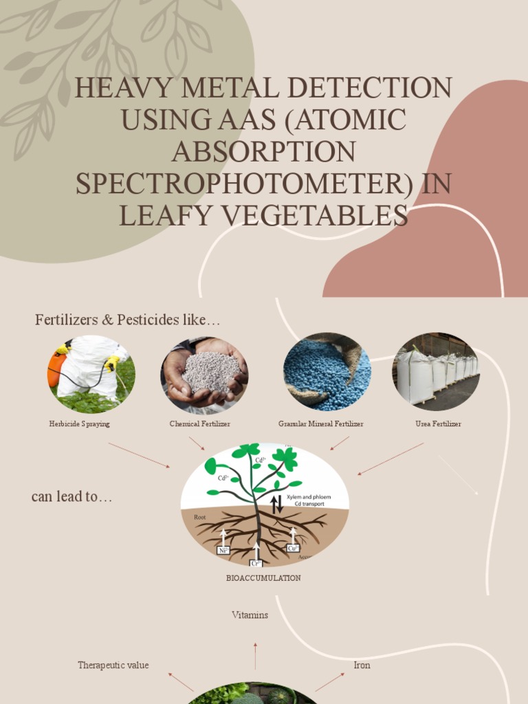 Heavy Metal Detection in Vegetables | PDF