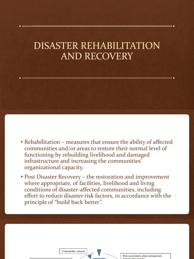 Disaster Rehabilitation and Recovery Guide | PDF | Science & Mathematics