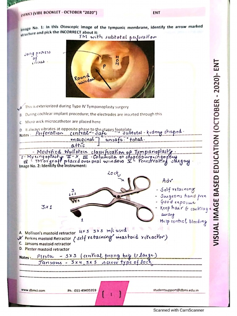 Vibe Live PDF | PDF