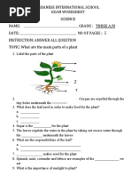 Grade 2 Science Examination | PDF | Electricity | Magnetic Field