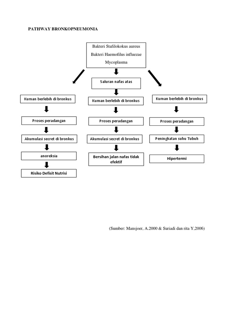 Pathway Bronkopneumonia PDF | PDF