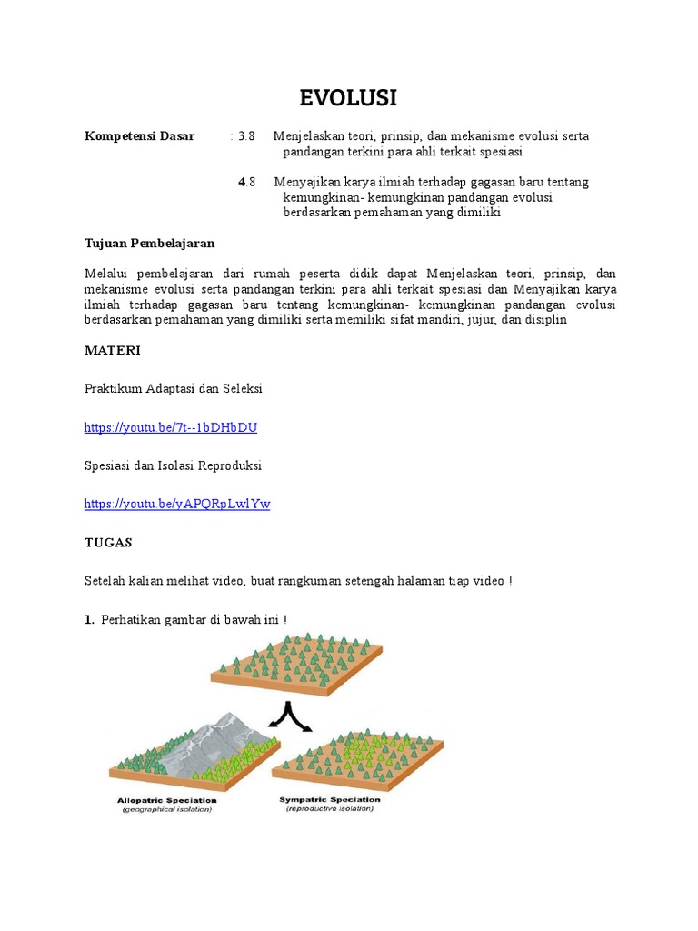 LKPD Evolusi 4 PDF | PDF