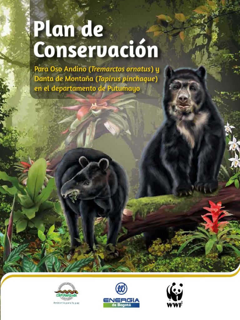 Plan de Conservacion para El Oso de Anteojos y La Danta de Montana en El Departamento de PDF | PDF