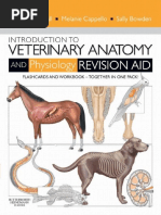 Veterinary Anatomy Coloring Pages | PDF | Pelvis | Gastrointestinal Tract