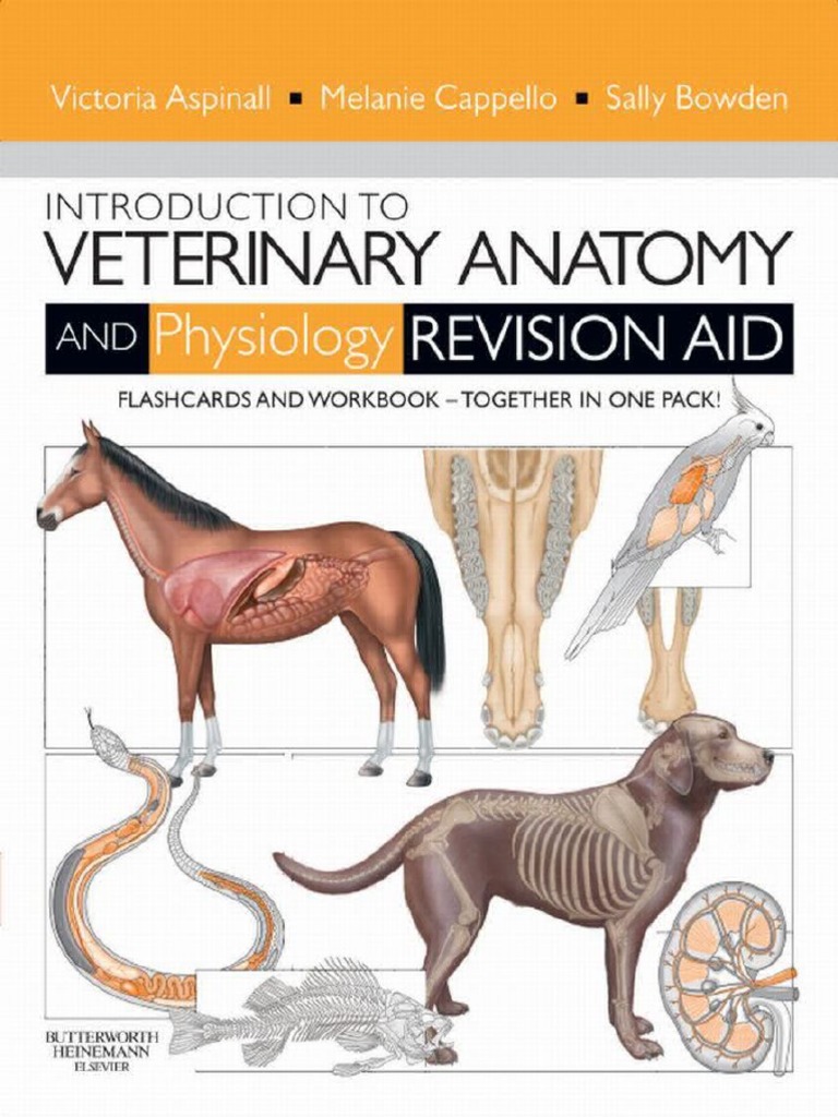 Introduction To Veterinary Anatomy and Physiology Flashcards PDF | PDF ...